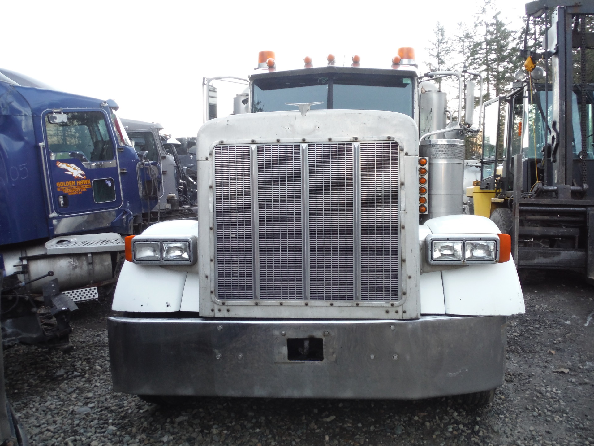 P129 - Peterbilt 379 | Payless Truck Parts